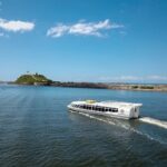 Shared Newcastle Harbour Cruise - Who Will Love This Experience?