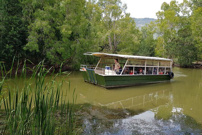 Shared Shuttle Return Transfers (ex Cairns) Transfers Only - What to Expect from the Tour