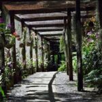 Shore Excursion-Nadi Mudpools,Sleeping Giants Gardens,Markets, Temple & Shopping - Authentic Insights from Reviewers