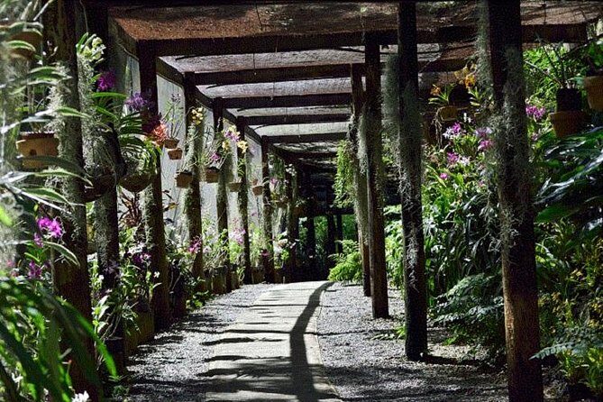 Shore Excursion-Nadi Mudpools,Sleeping Giants Gardens,Markets, Temple & Shopping - Authentic Insights from Reviewers