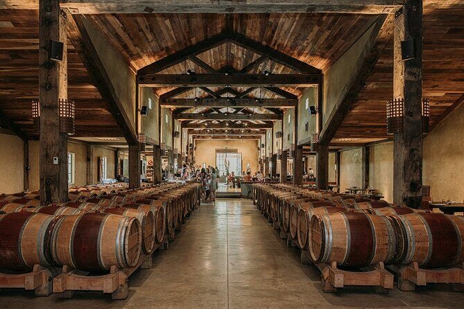 Signature Wine Tour Napier 4 Wineries Cheese and Luxury Vehicle - What Makes This Tour Special?