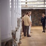 Sirromet Winery Eataly Discovery - Includes Tour, Tasting and 3 Course Lunch - Practical details to consider