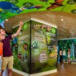 Skyrail Rainforest Cableway Round-Trip Experience - The Ride Over the Canopy: What You Can Expect from the Gondola