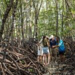 Small Group Daintree Rainforest and Aboriginal Coastal Adventure - The Itinerary Breakdown