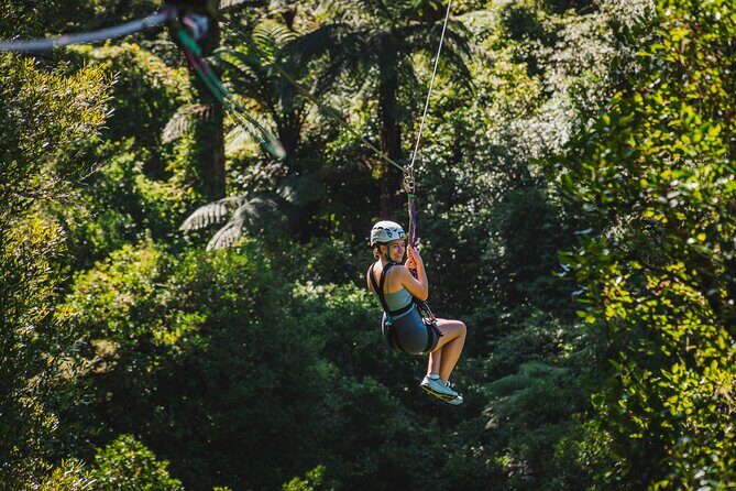 Small Group Northern Voyager 7 Days Tour - Transportation, Group Size, and Comfort