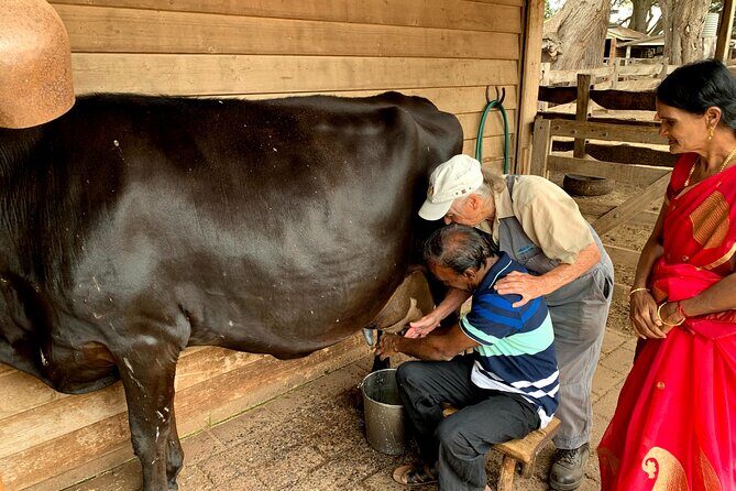 Small Group Tour of 2-7pax in Phillip Island & Churchill Island - Additional Activities and Flexibility