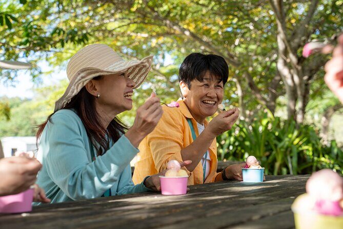 Small Group Waterfall Wetlands+ Skyrail All Inclusive from Cairns - Who Is This Tour Best For?