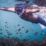 Snorkeling Tour: Discover Sydneys impressive sea life - Why This Tour Offers Value