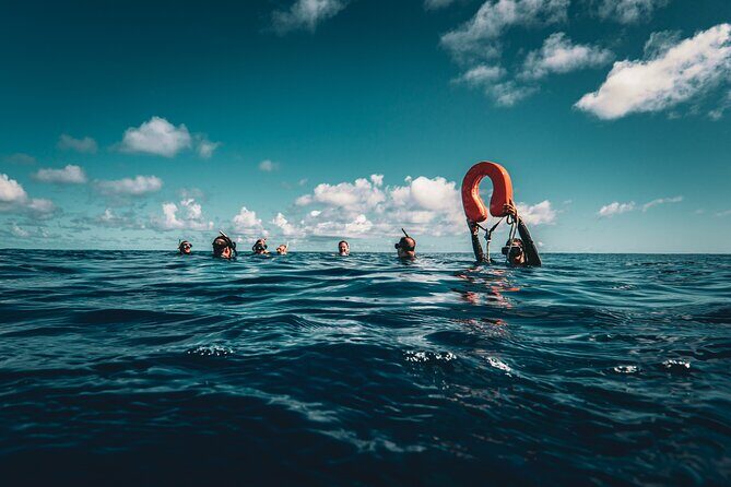 Snorkeling Tour in Moorea Aquatic Adventure Half Day - Why Choose This Moorea Snorkeling Tour?