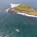 Snorkeling with Turtles  Cook Island Marine Reserve - What Sets This Tour Apart