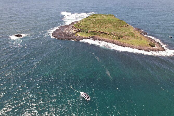 Snorkeling with Turtles  Cook Island Marine Reserve - What Sets This Tour Apart