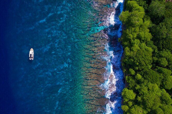Snorkelling Christmas Island - Who Will Love This Tour?