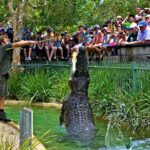 Somersby: Australian Reptile Park Day Pass - 9am to 5pm - What to Expect from the Experience
