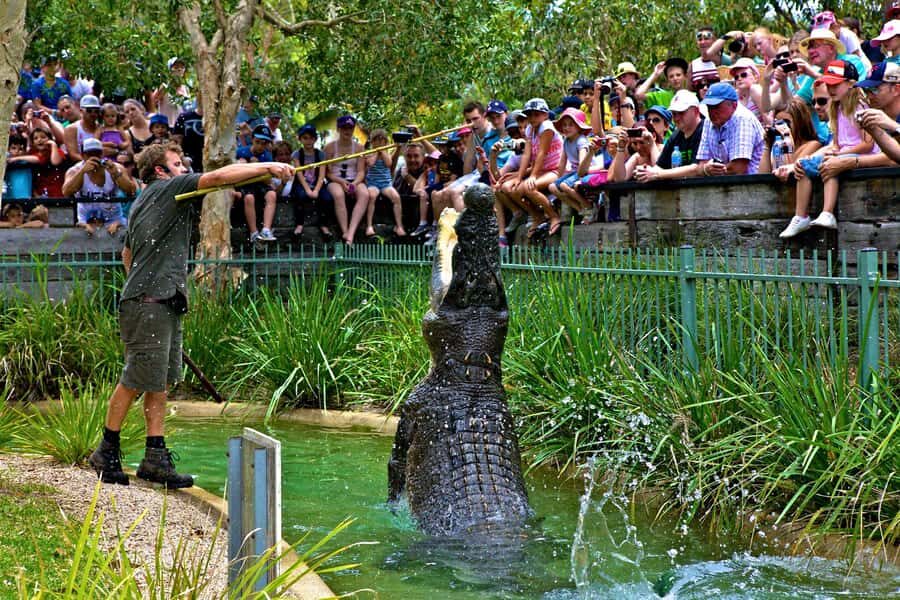 Somersby: Australian Reptile Park Day Pass - 9am to 5pm - What to Expect from the Experience