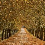 Southern Highlands Private Tour with Wine, Waterfall and Garden - A Closer Look at the Itinerary