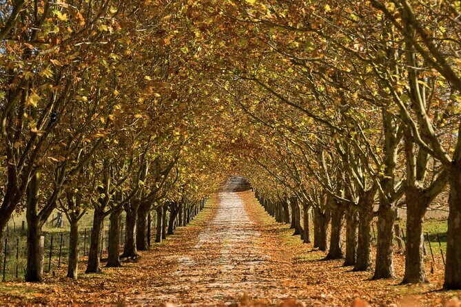 Southern Highlands Private Tour with Wine, Waterfall and Garden - A Closer Look at the Itinerary