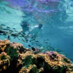 SPORT Catamaran Bora Bora : Sailing Snorkeling & Floating Bar - Why This Tour Is a Good Choice