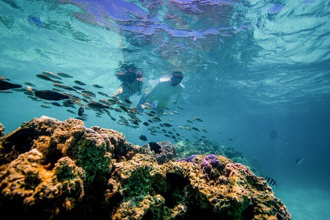 SPORT Catamaran Bora Bora : Sailing Snorkeling & Floating Bar - Why This Tour Is a Good Choice