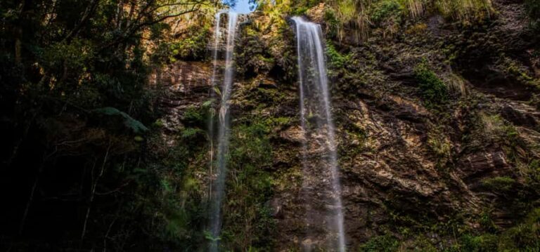 Spring Brook National Park Driving Tour with an APP - Is This Tour Worth It?
