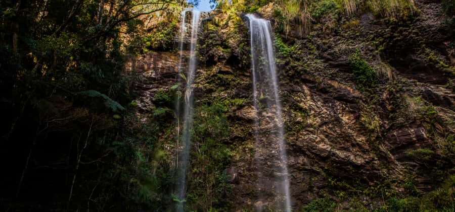 Spring Brook National Park Driving Tour with an APP - Is This Tour Worth It?
