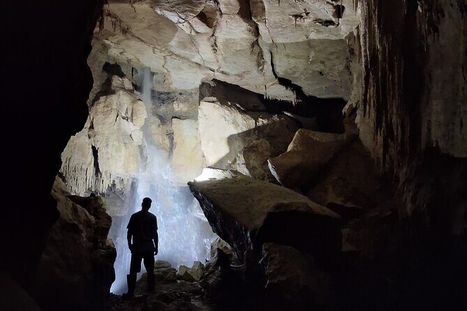 Starburst Cathedral deep inside Milky Way Glowworm Cave - Why This Tour Excels for Photographers and Nature Enthusiasts