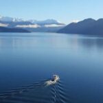 Stevensons Island 2-Hour Cruise and Nature Walk - The Return Cruise and Refreshments