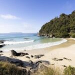 Stewart Island Guided Wilderness Walk - What Makes This Tour Stand Out?