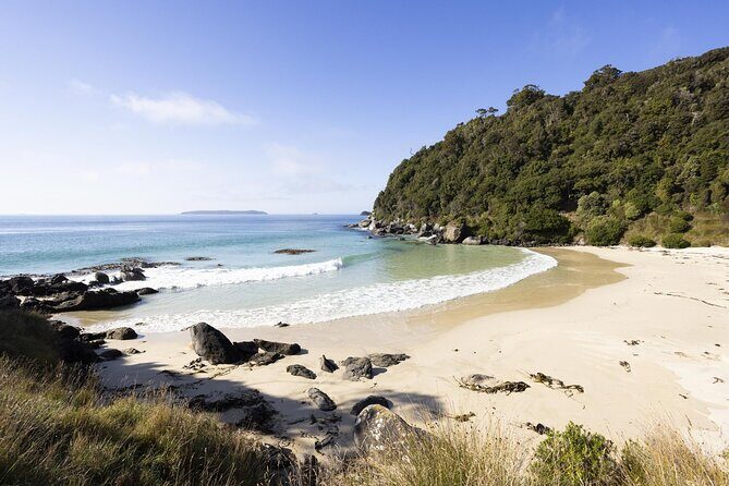 Stewart Island Guided Wilderness Walk - What Makes This Tour Stand Out?