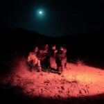 Stewart Island: Wild Kiwi Experiences - What Reviewers Say