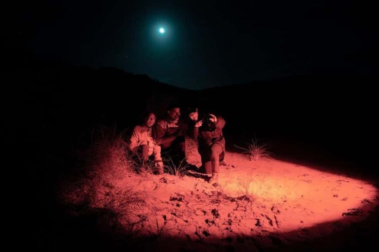 Stewart Island: Wild Kiwi Experiences - What Reviewers Say