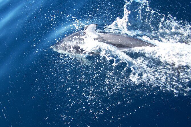 Sunset sailing trip on the Lagoon of Tahiti - The Itinerary: What to Expect