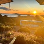 Sunset Scenic Dinner Tour on Beautiful Waiheke Island - What to Expect from the Experience