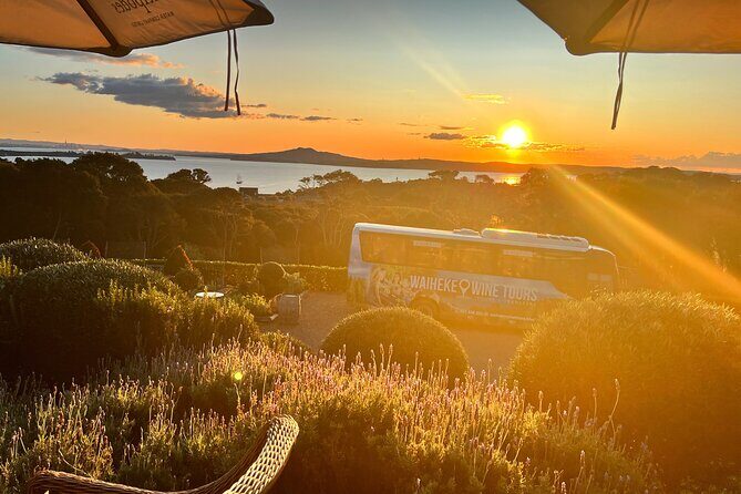 Sunset Scenic Dinner Tour on Beautiful Waiheke Island - What to Expect from the Experience