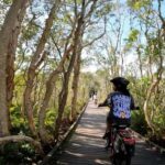 Sunshine Coast: Easy Peasy Novotel North E-Bike Tour - What We Love About This Tour