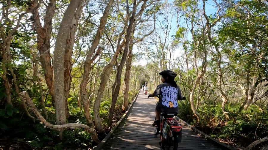 Sunshine Coast: Easy Peasy Novotel North E-Bike Tour - What We Love About This Tour