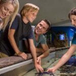 Sunshine Coast: SEA LIFE Sunshine Coast Entry Ticket - Value for Money