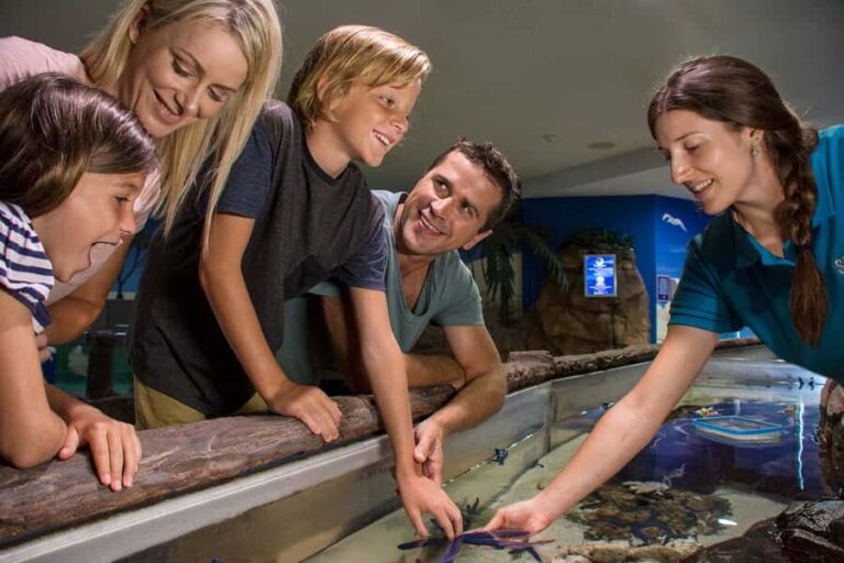 Sunshine Coast: SEA LIFE Sunshine Coast Entry Ticket - Value for Money