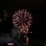 Surfers Paradise Sightseeing City Lights Cruise - What Makes the Cruise Special?