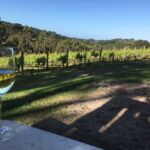 Swan Valley Wine Discovery: Private Tour from Perth - Who is this tour best suited for?