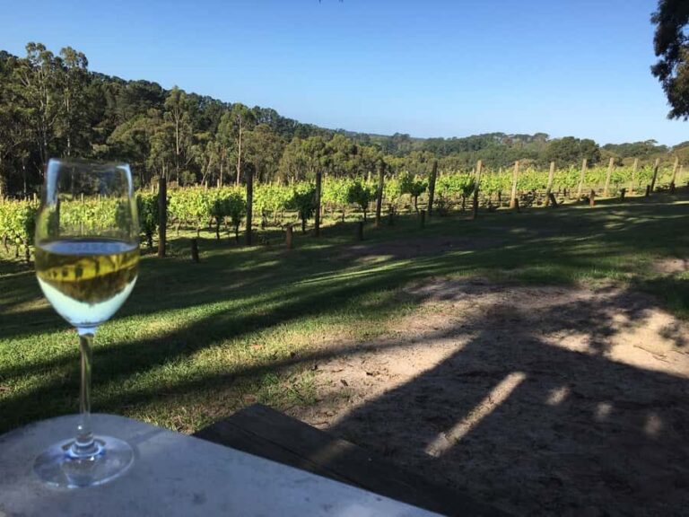 Swan Valley Wine Discovery: Private Tour from Perth - Who is this tour best suited for?