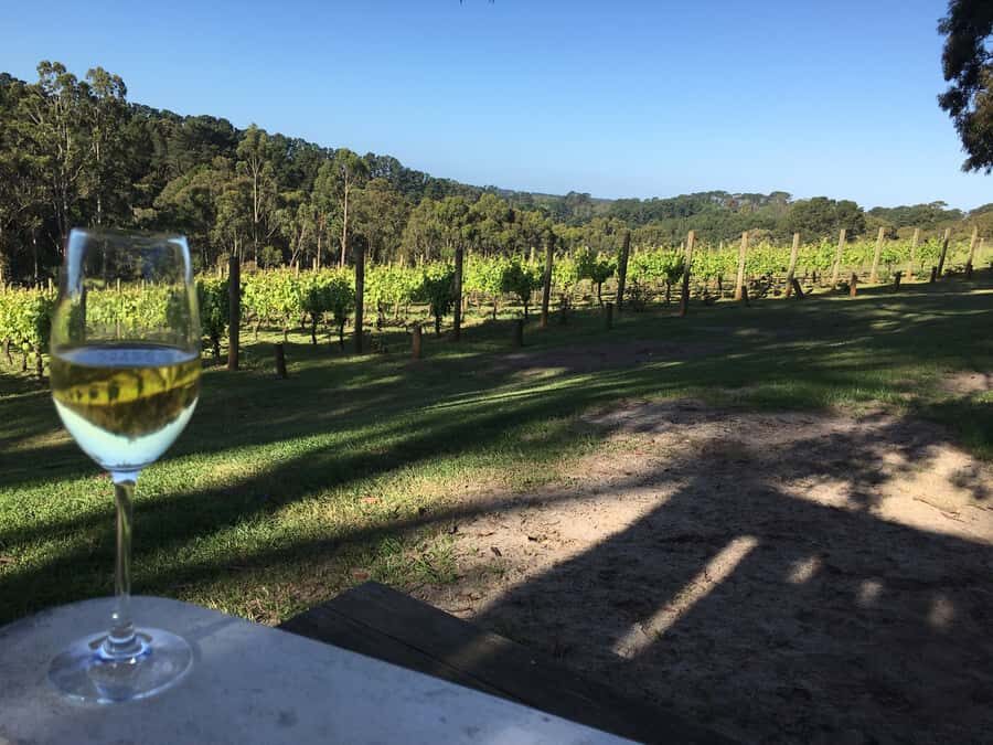 Swan Valley Wine Discovery: Private Tour from Perth - Who is this tour best suited for?