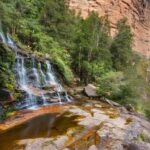 Sydney: Blue Mountains and F. Wildlife Park - Private Tour - Practicalities & What It Means for You