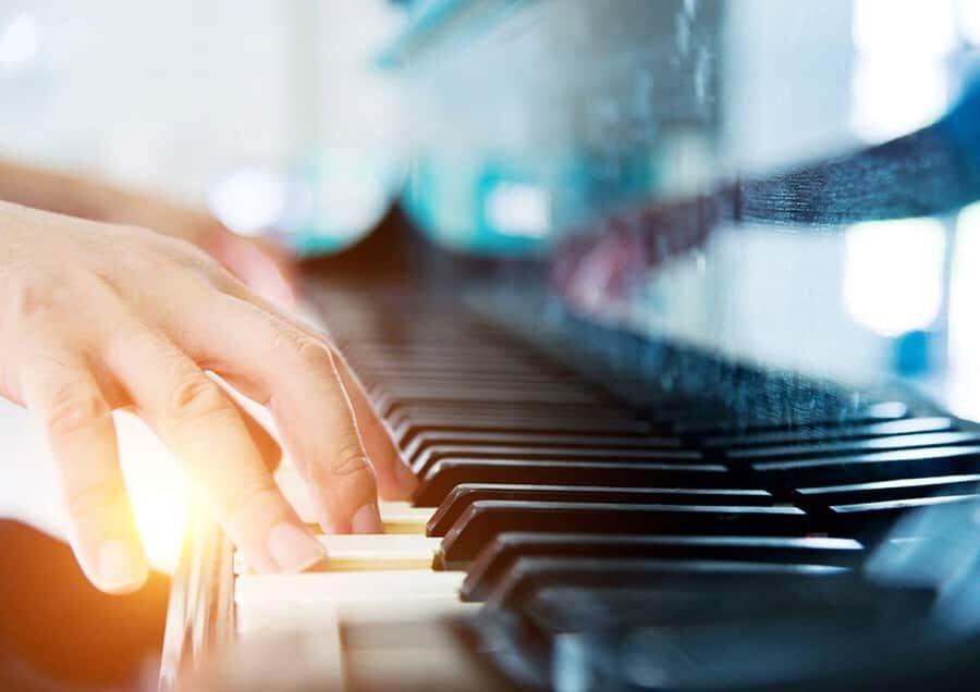 Sydney: Christmas in July Lunch Cruise on Sydney Harbour - The Food: A Feast for the Senses