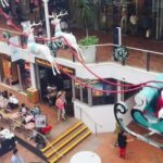 Sydney: City and Surrounding Sightseeing Luxury Private Tour - A Deep Dive into the Experience