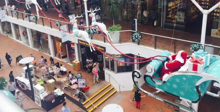 Sydney: City and Surrounding Sightseeing Luxury Private Tour - A Deep Dive into the Experience