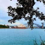 Sydney City Harbour and Coastal Adventure - Why This Tour Offers Great Value