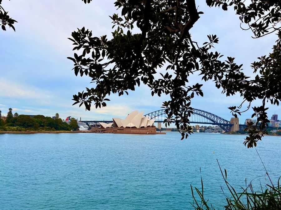 Sydney City Harbour and Coastal Adventure - Why This Tour Offers Great Value