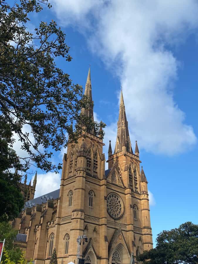 Sydney City Historic Walking Tour - What to Expect on the Tour