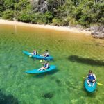Sydney: Guided Kayak Taster Tour from Manly - Practical Aspects and Value