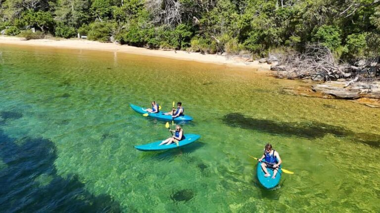 Sydney: Guided Kayak Taster Tour from Manly - Practical Aspects and Value